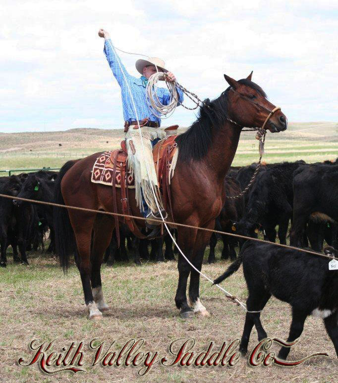 Keith Valley : Saddle Gallery #18