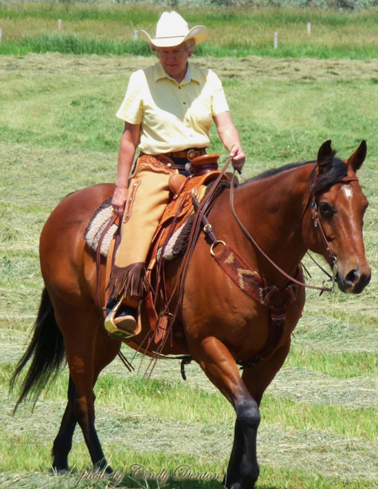 Keith Valley : Saddle Gallery #19